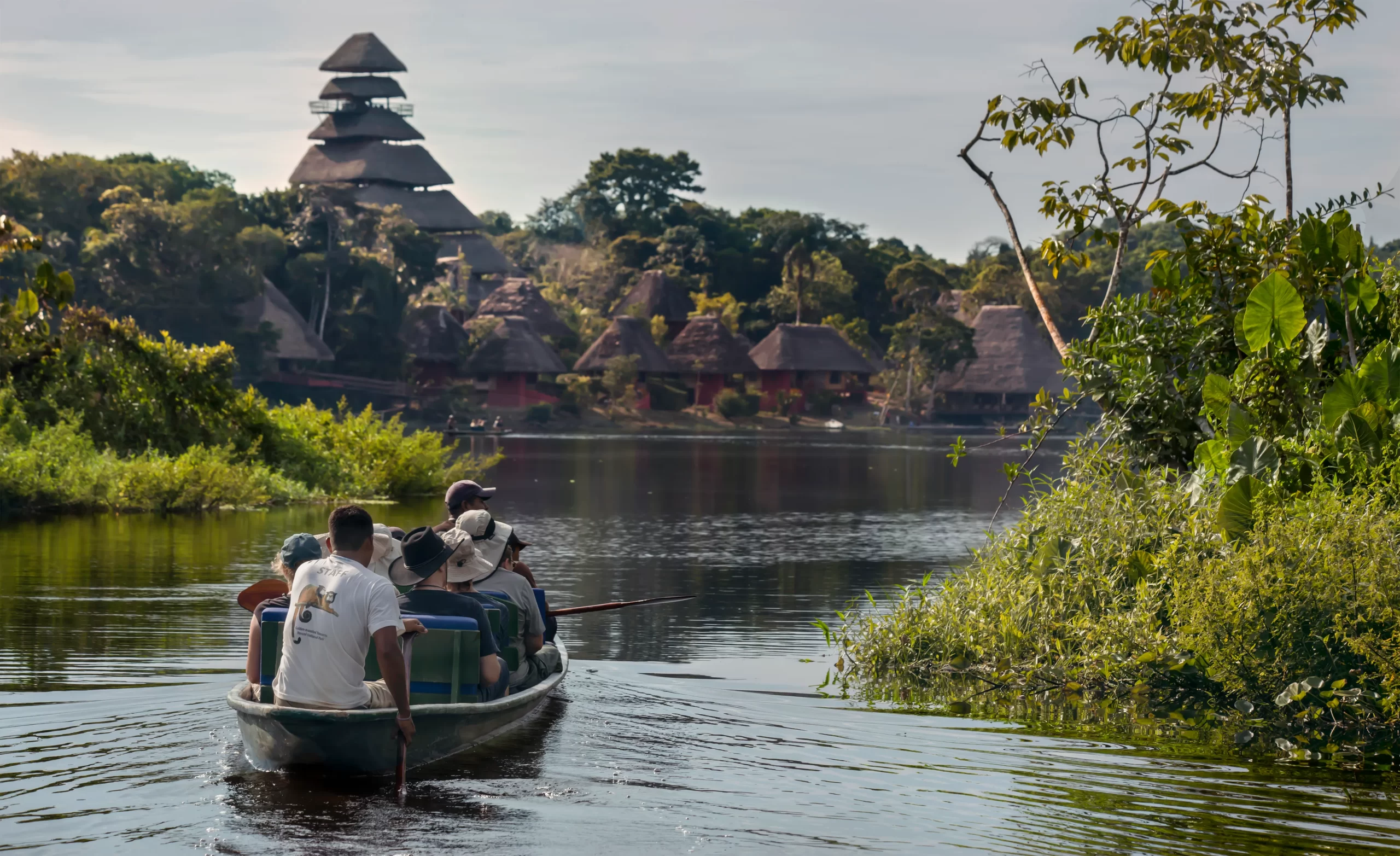 Conservazione dell'Amazzonia: Centro della fauna selvatica di Napo ...